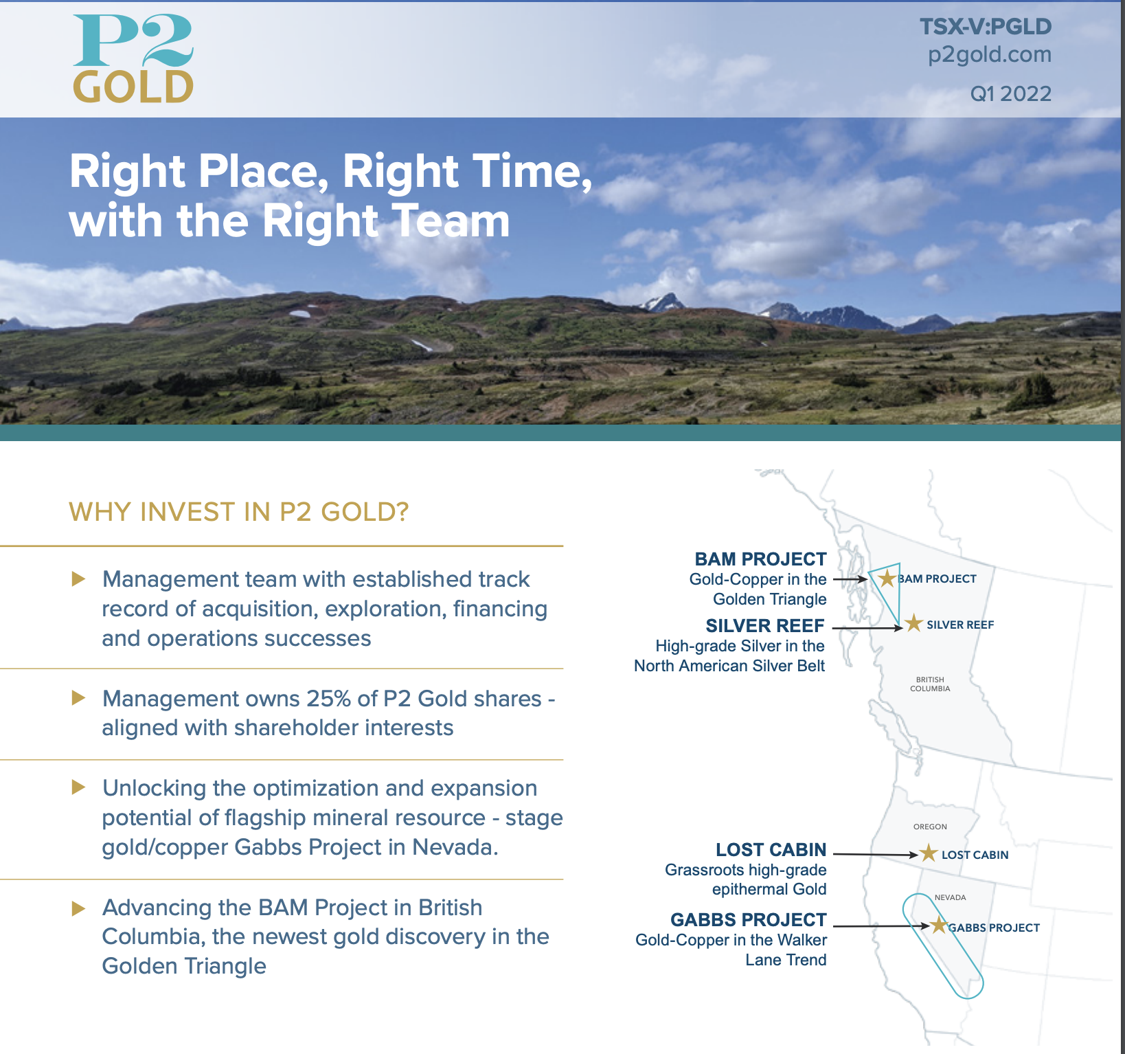 P2 Gold - Fact Sheet